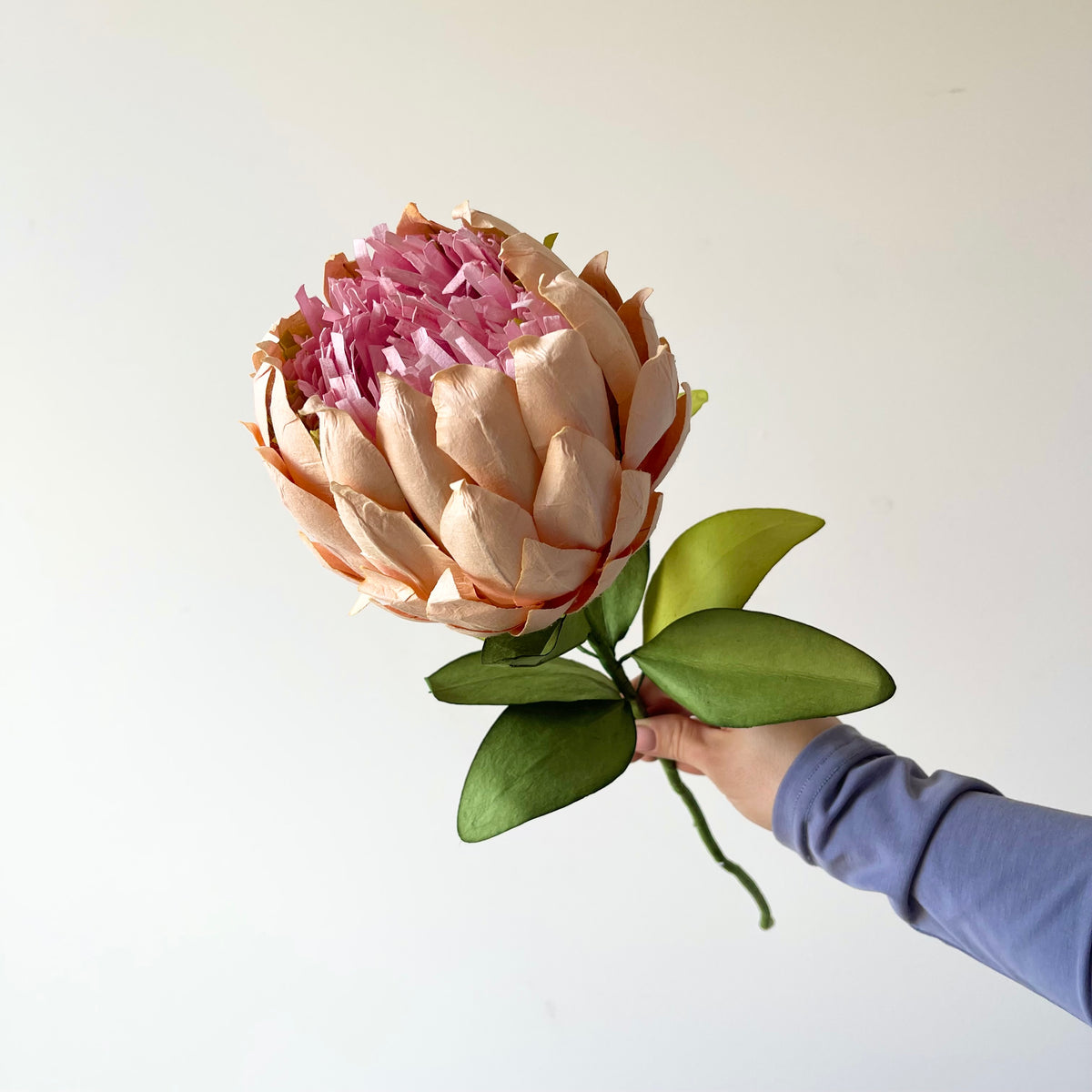 King Protea Paper Flower | Peach & Pink | Green Door Decor | Homewares