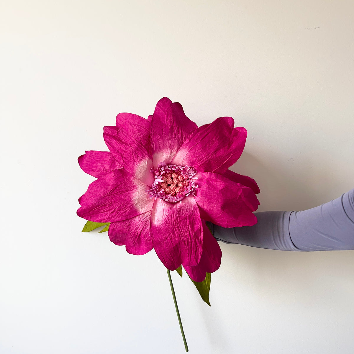 Miss Daisy Paper Flower XL | Hot Pink | Green Door Decor | Homewares