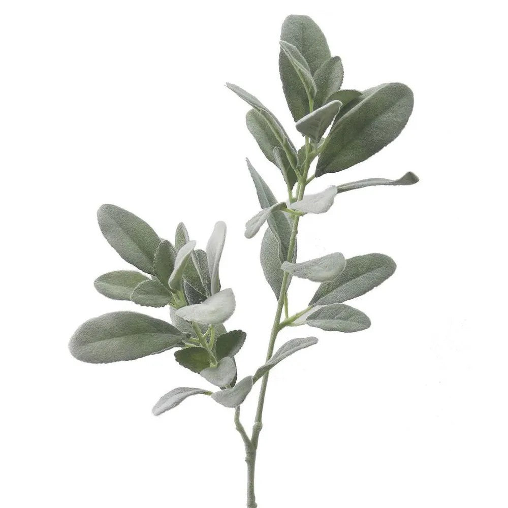 Faux Foliage | Flocked Lambs Ear Leaf Spray 70cm Green | Green Door ...