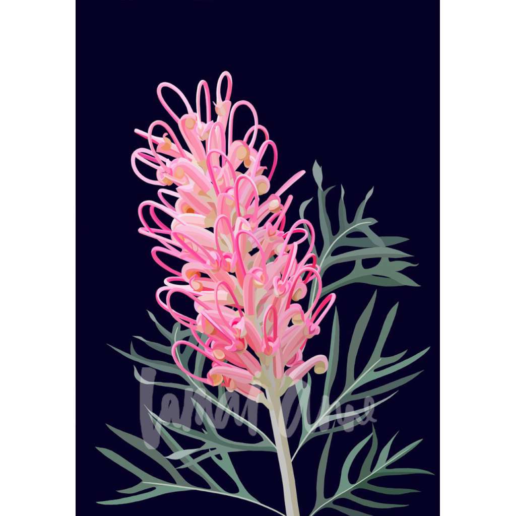 Pink Grevillea (Limited Edition) | Lamai Anne | Green Door Decor | Art ...